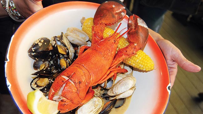 One fish two fish, bay scallops and bluefish - The Martha's Vineyard Times