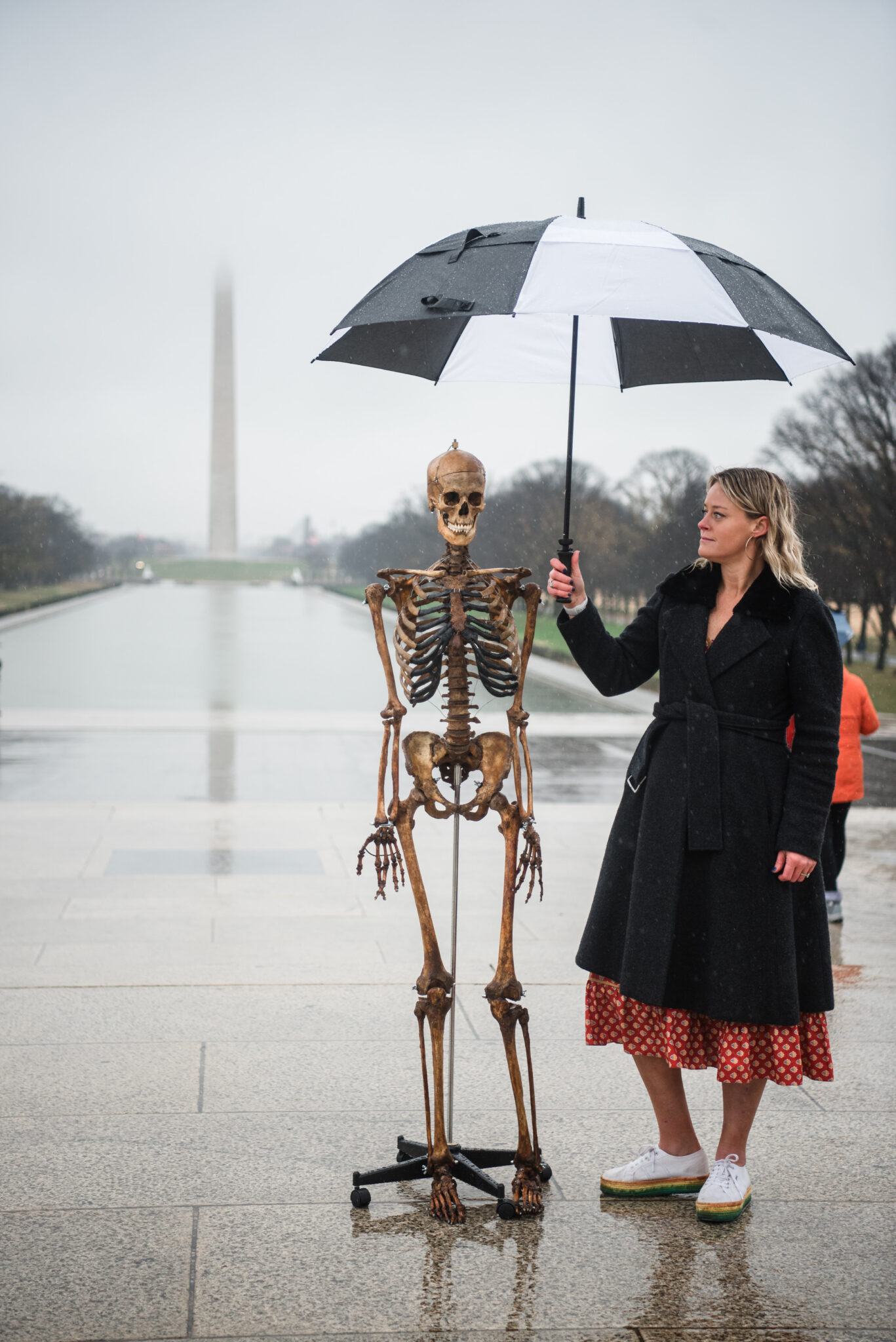 The strange afterlife of Christopher Gray - The Martha's Vineyard Times