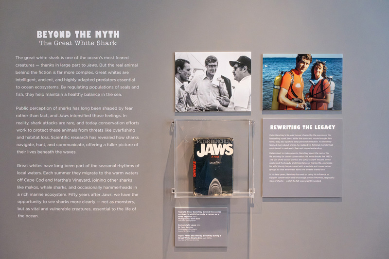 'Jaws’ exhibit at Martha's Vineyard Museum - The Martha's Vineyard Times