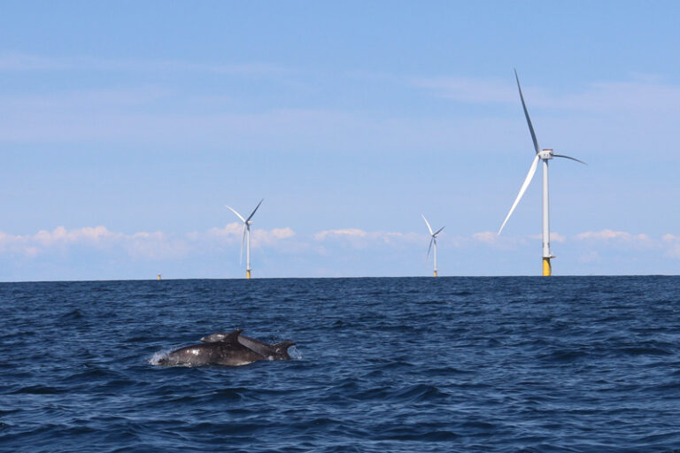 Vineyard Wind reportedly making concessions to Nantucket - The Martha's ...